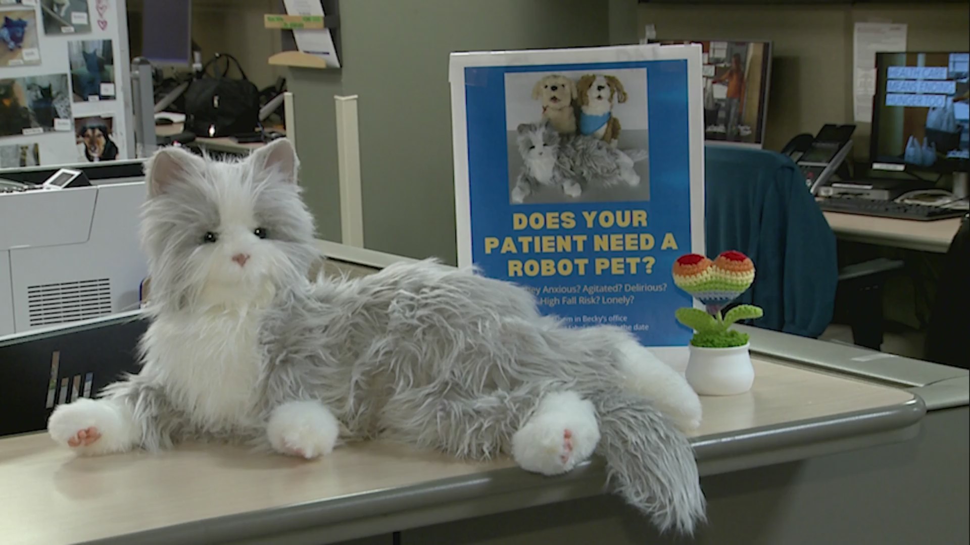 UCHealth program offers robotic pets for patients with dementia