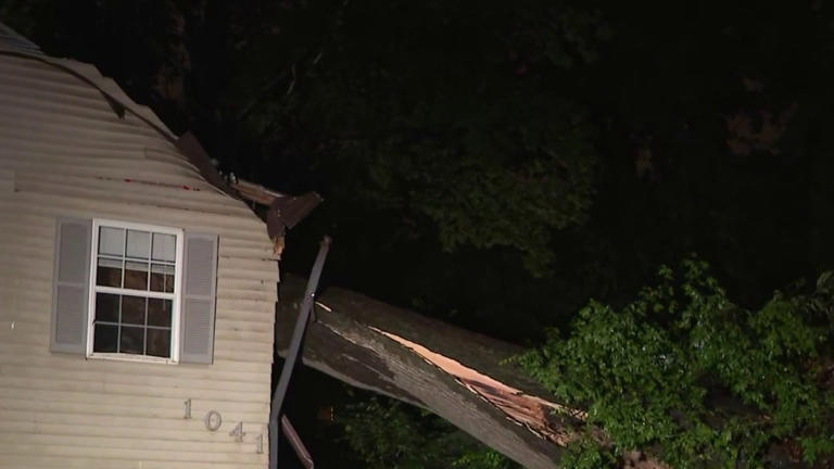 Metro Atlanta storm damage: Storm topples trees, knocks out power