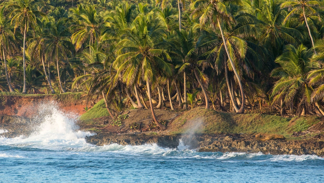 15 hidden Caribbean escapes for nature and culture