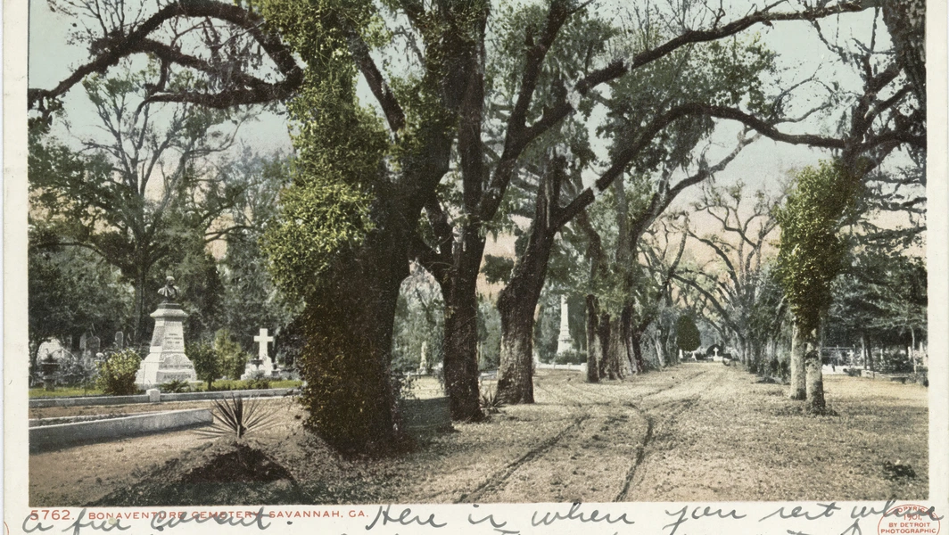 History and highlights of Bonaventure Cemetery