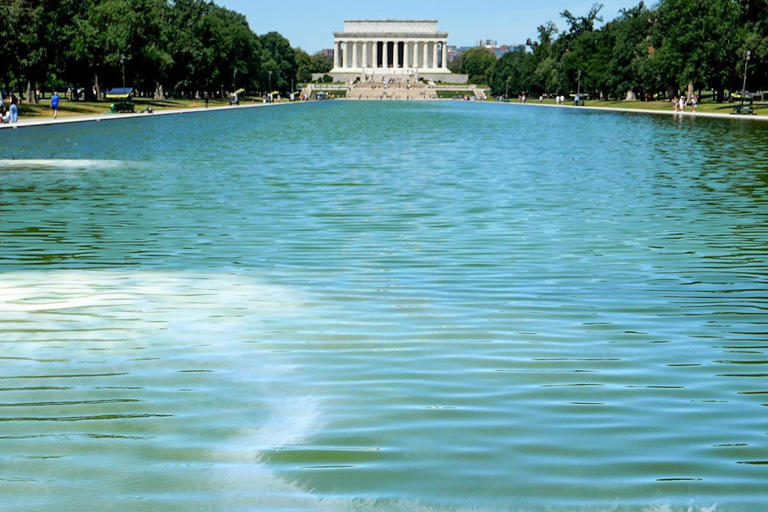 What the Lincoln Memorial’s algae problem teaches us about water ...