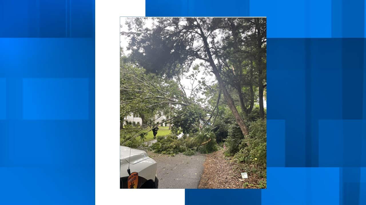 Tree blocks road on Isle of Palms; part of 26th Avenue closed
