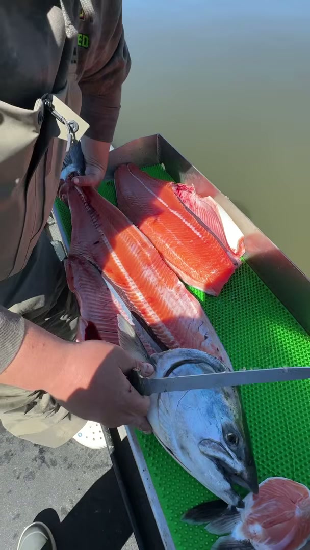 One of the best-eating fish swimming in the Pacific Northwest