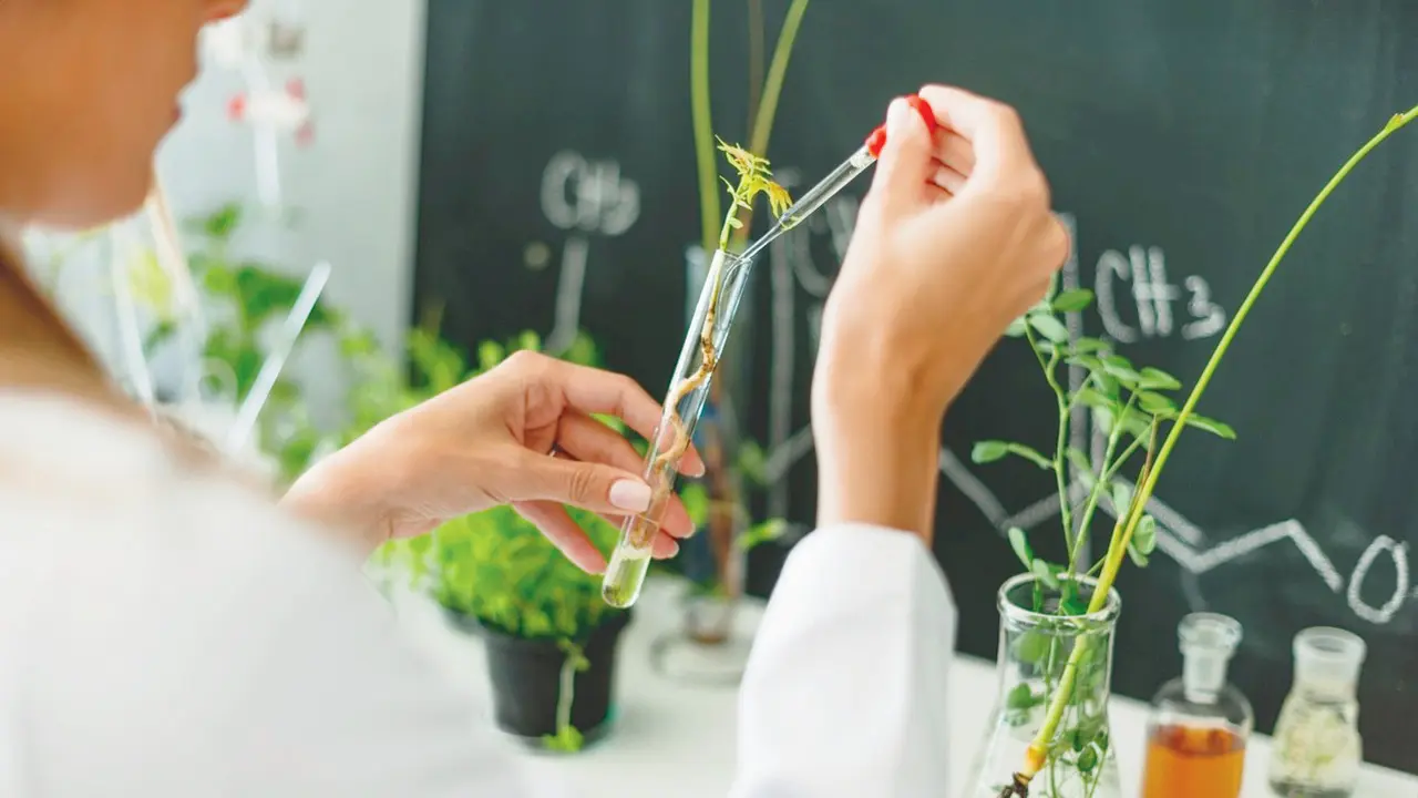 AI study warns nearly 30,000 plant species face extinction worldwide