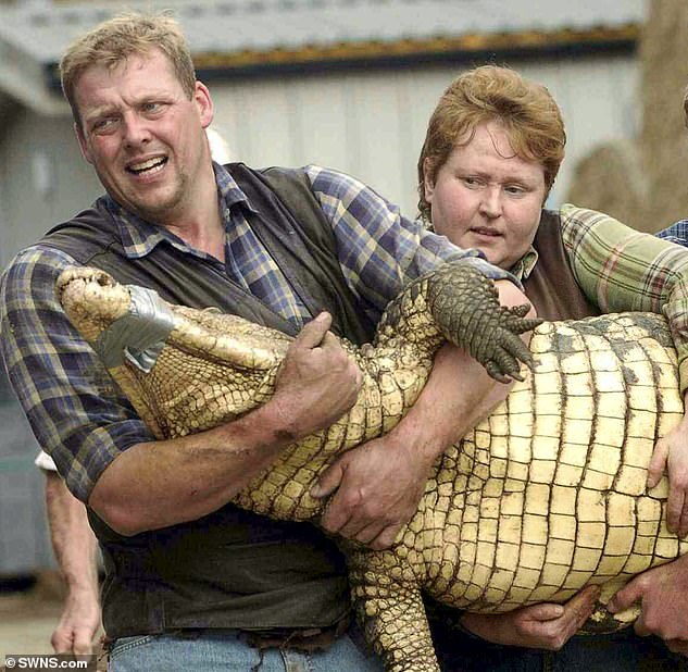 Zookeeper who saved boy, three, thrown into crocodile pit by stranger ...