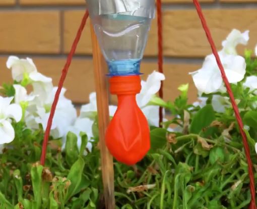 De zéro à héros du pouce vert! Conseils de jardinage cool