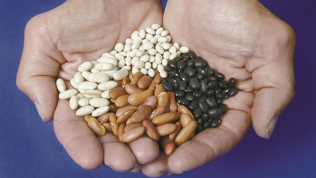 Black beans ranked healthiest by dietitians for nutrient power