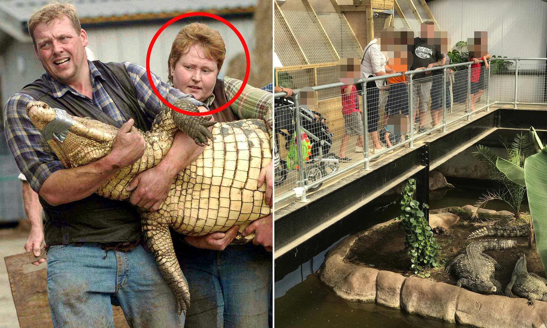 Hero wife of zoo owner who dived into crocodile pit to save three-year ...