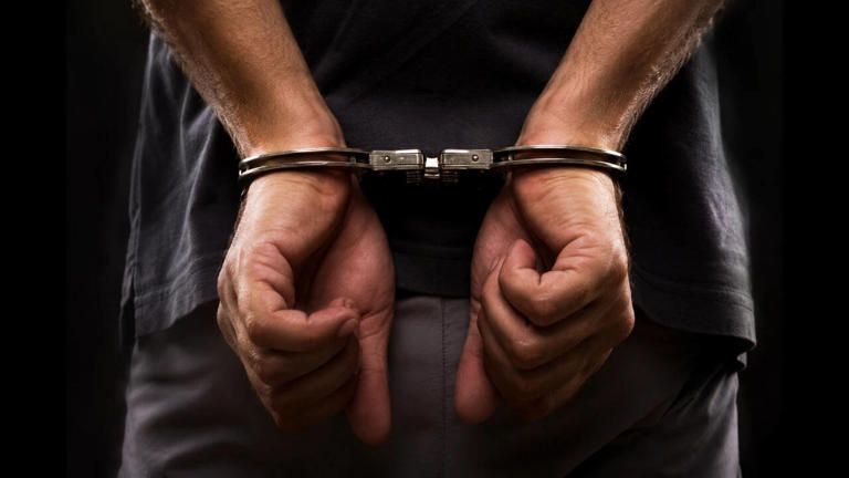 Pharma company director, customs broker arrested for trying to export ...