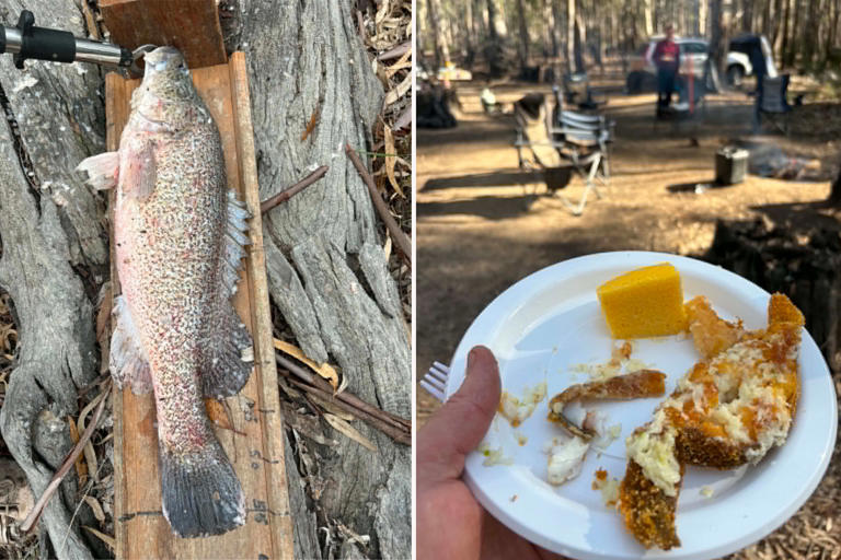 Aussie man fined $300 for eating his campsite catch: 'Ridiculous'