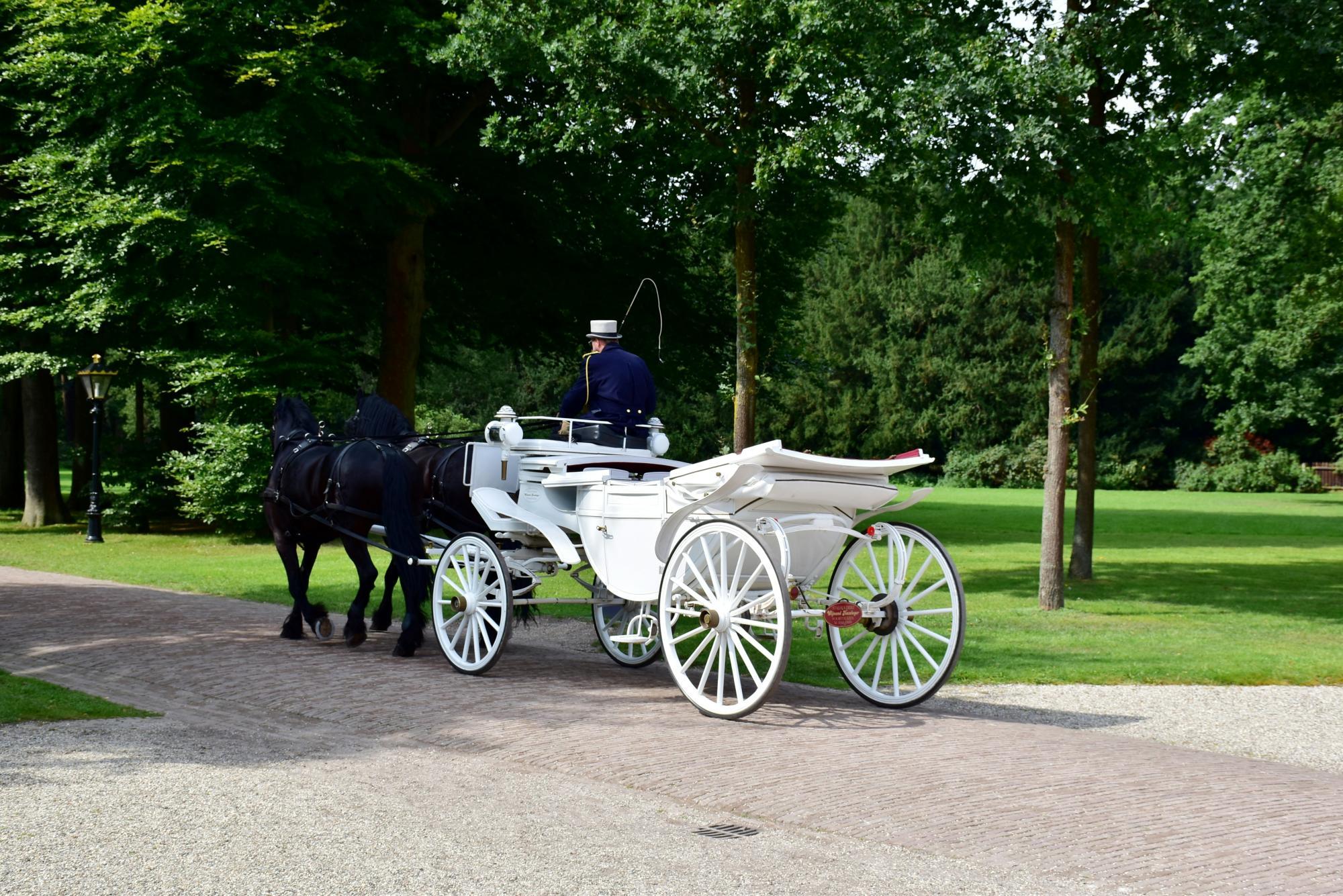 Pferd ging durch: 18-jähriger Tourist aus Kutsche geschleudert - tot
