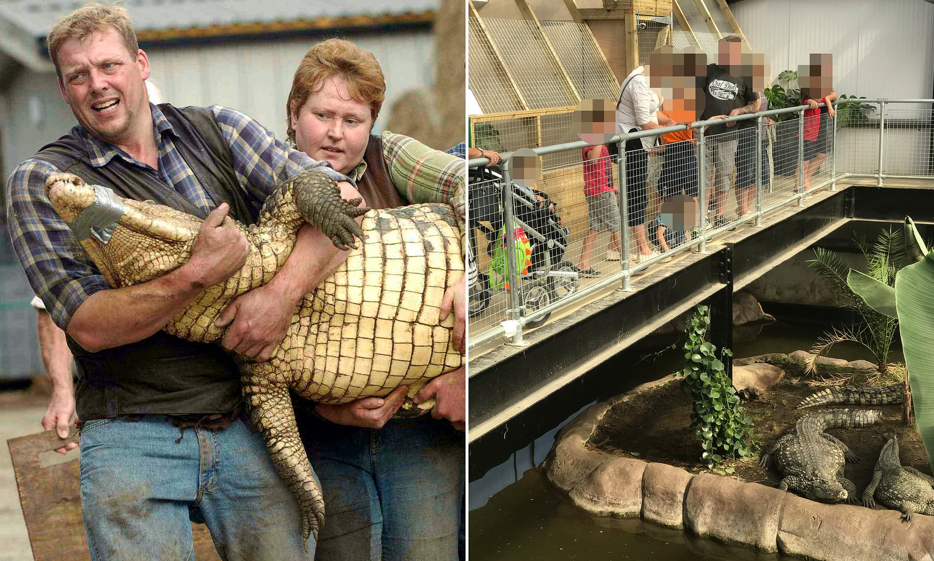 Boy, 3, was 'thrown' into crocodile pit 'by man with learning ...