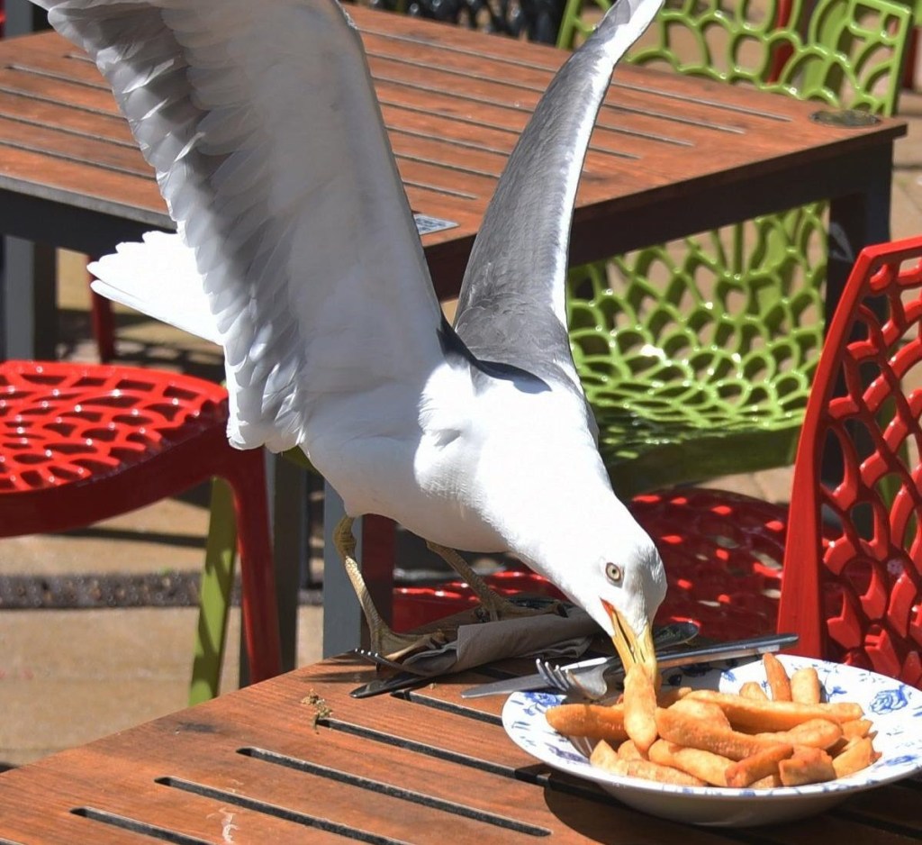 UK’s most notorious dine and dashers spark reaction from Wetherspoons