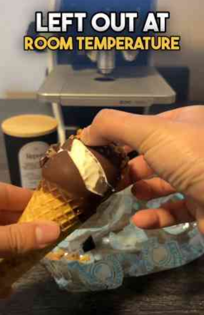 Drumstick under the microscope: A closer look at what’s really inside