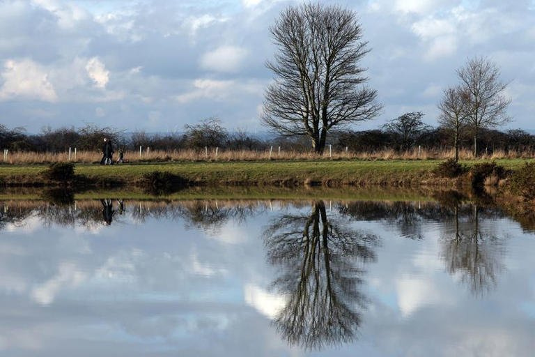 Northumberland Wildlife Trust invites adults to move away from digital ...