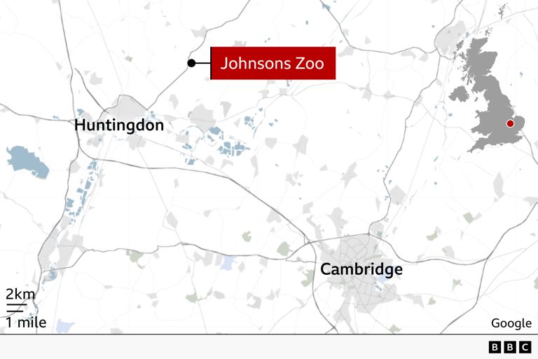 Boy, 3, injured in crocodile enclosure remains critical
