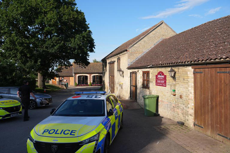 Boy, 3, 'thrown into crocodile enclosure' as zoo owner's wife 'jumps in ...