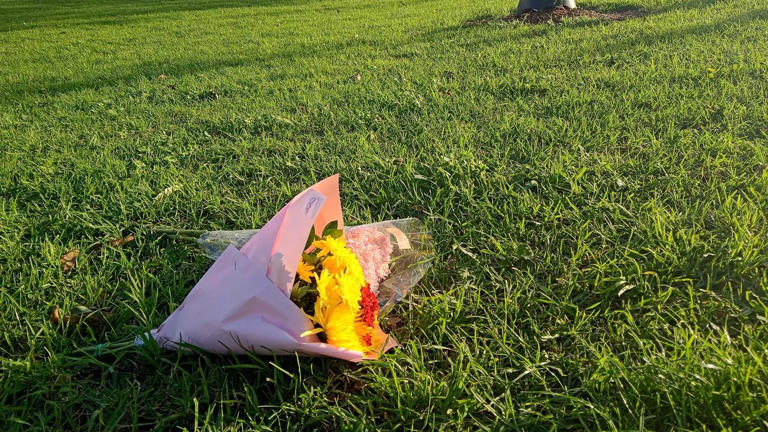 'Absolute disgrace': Fatal park attack shocks parents