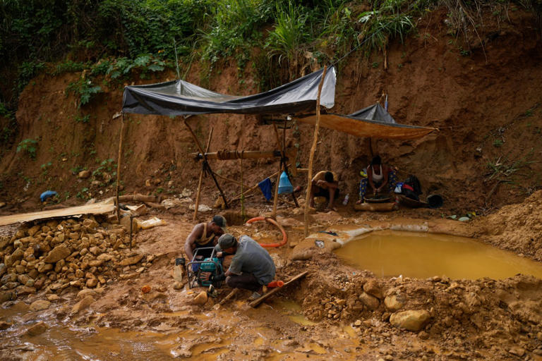 US and Venezuela join forces to target armed gangs in key mining region