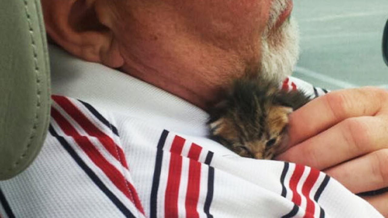Man rescues a helpless kitten from dumpster, the kitty rescues him too!
