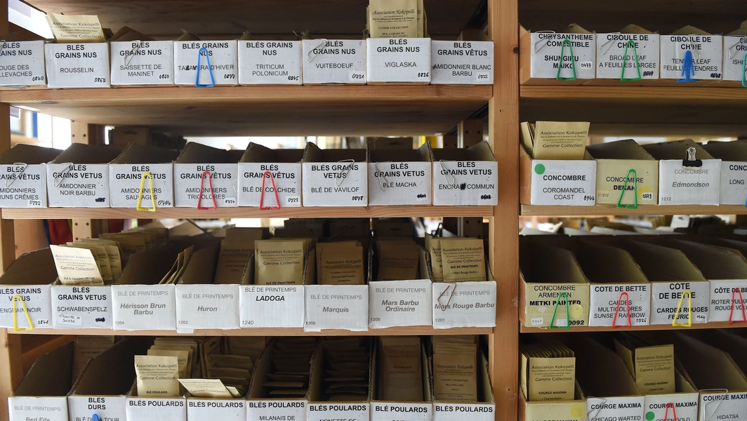Why heirloom gardening feels like growing history