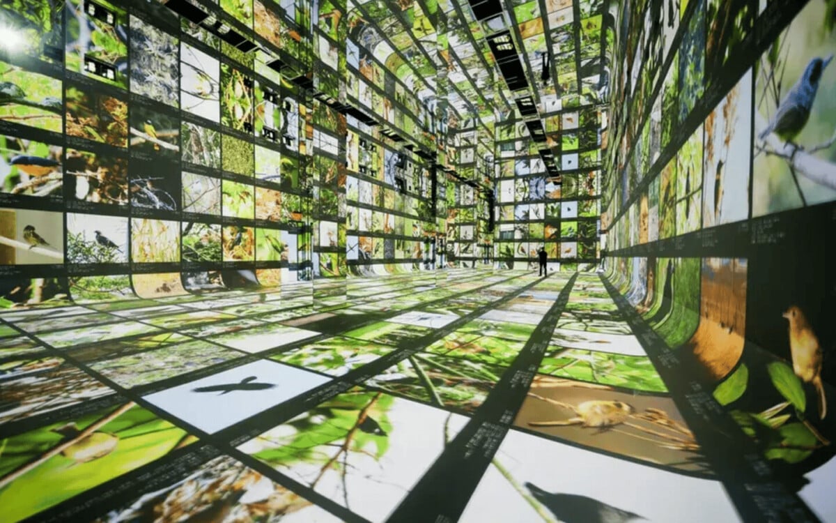 Google ouvre « Dataland » : le tout premier musée d’art par IA