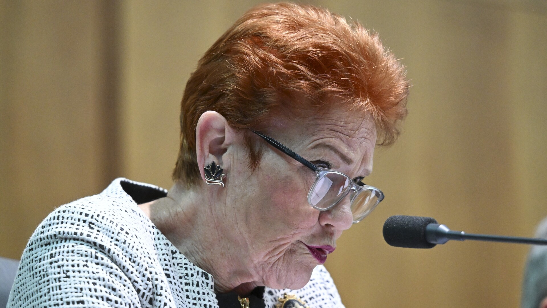 Pauline Hanson’s NPC speech addressed topics no one else is prepared to ...
