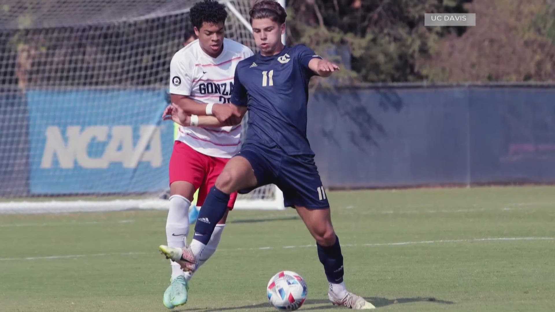 Former UC Davis standout Max Arfsten gets opportunity of a lifetime ...