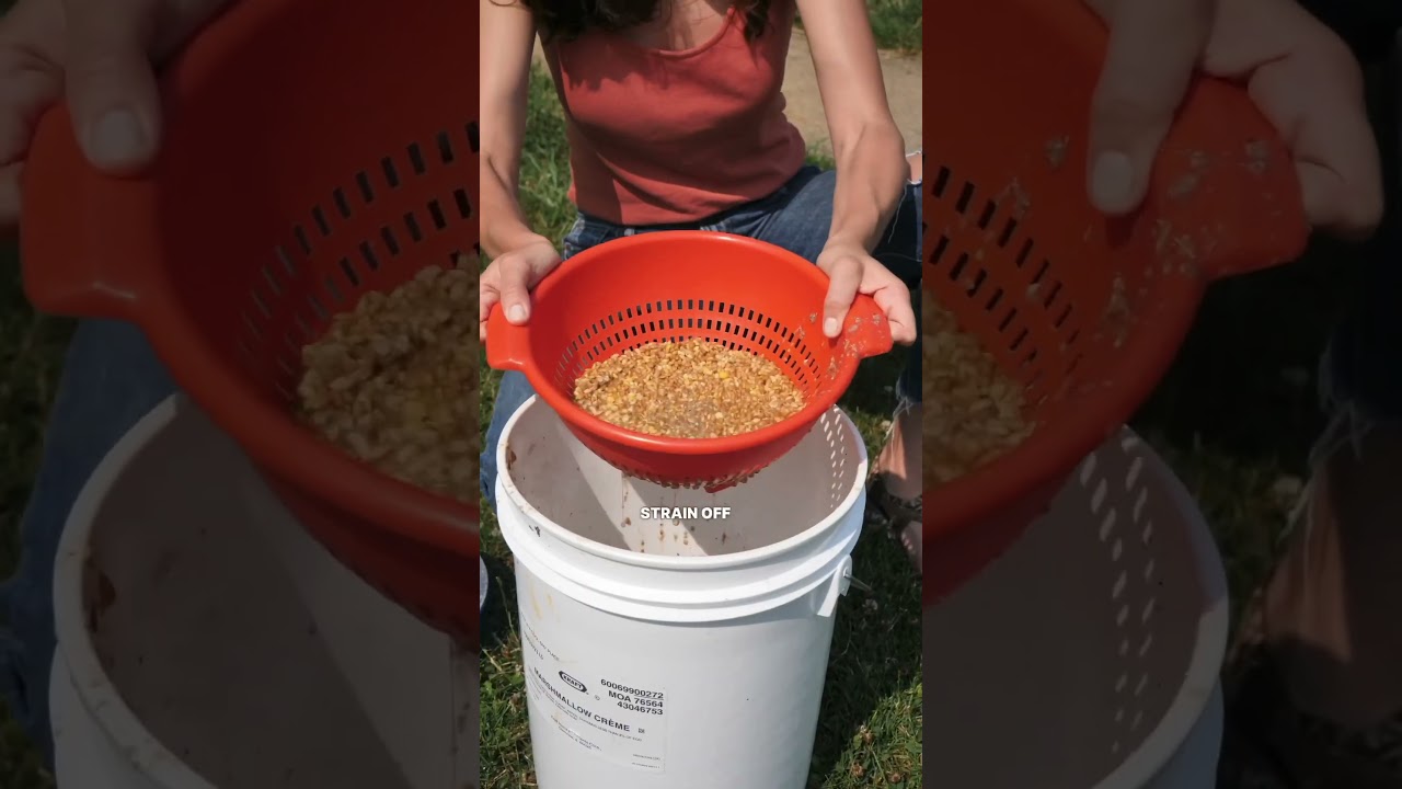 Save money on chicken feed using fermentation techniques