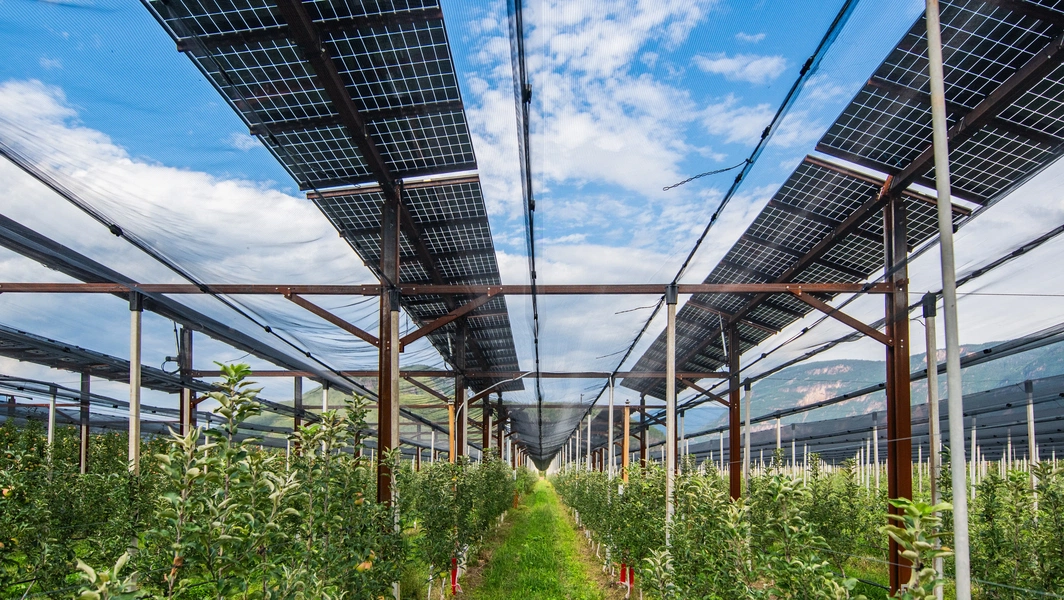 Study finds agrivoltaics could power AI data centres, boost crops