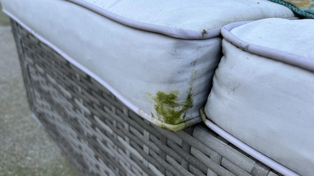 Natural methods to remove and prevent algae