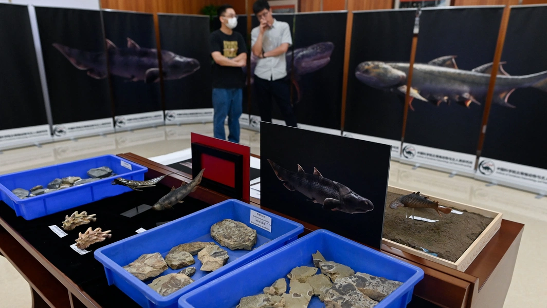 Robot study reveals how first fish moved onto land