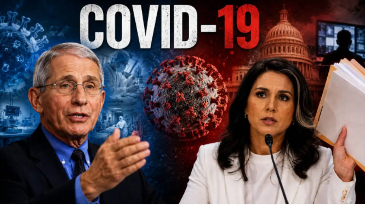 Dr. Anthony Fauci's COVID-19 stance vs Tulsi Gabbard's explosive cover ...