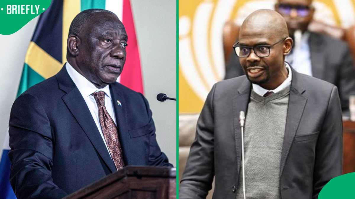 Impeachment committee vows to continue work despite Ramaphosa’s legal ...
