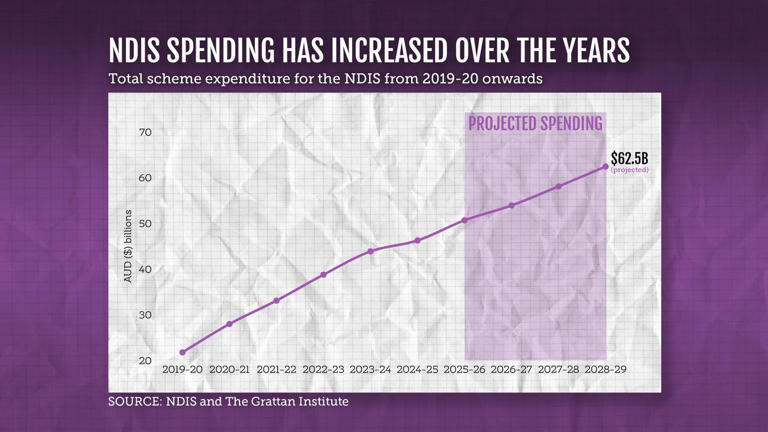 'Dragging its feet': NDIS report misses second deadline