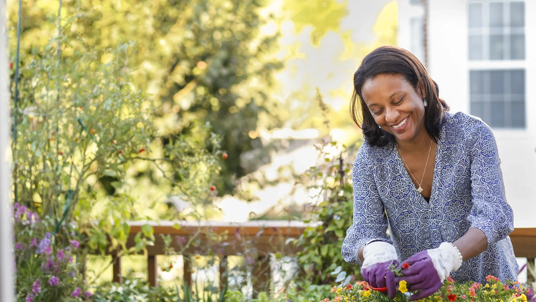 Small-space gardens that thrive year-round