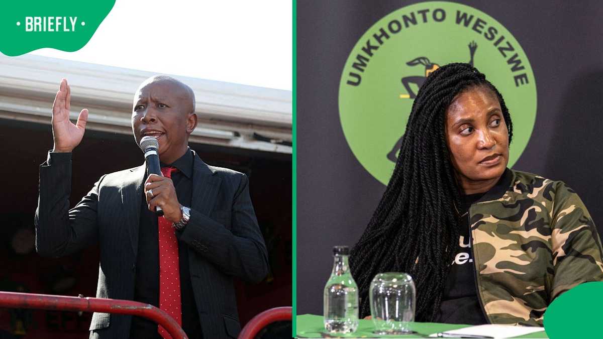 Julius Malema defends Duduzile Zuma-Sambudla after she was expelled ...