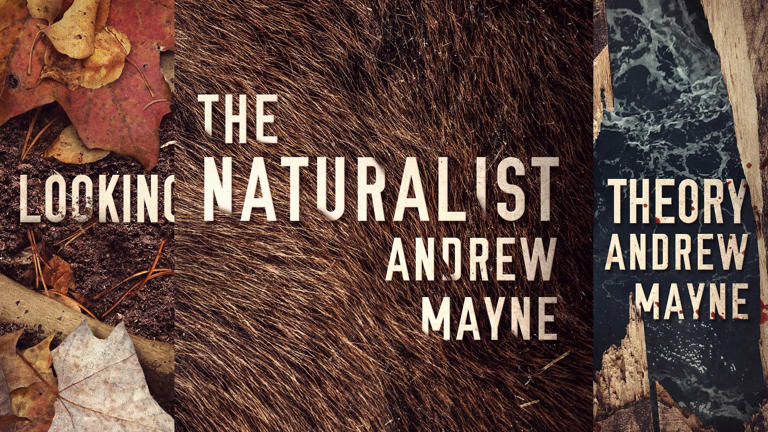 ABC confirms new TV adaptation of bestselling mystery thriller book ...