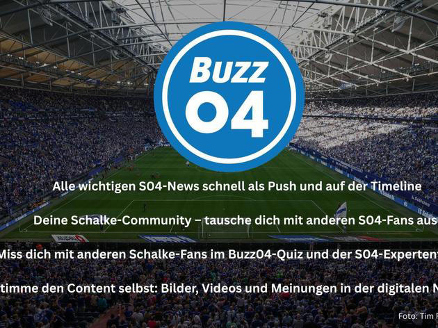 Schalke-Noten gegen die Schweiz: Katic mittendrin, Dzeko in ungewohnter ...