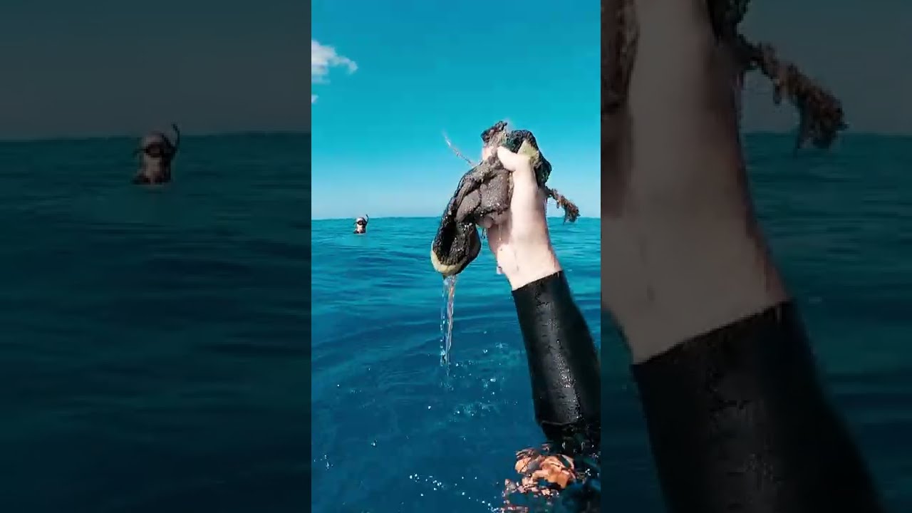 Trash 80 ft deep underwater
