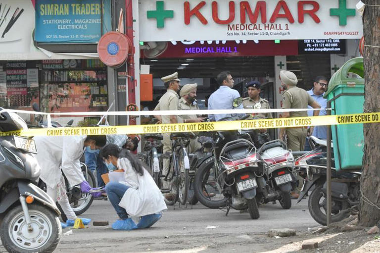 Who ordered Chandigarh Sector 11 killing? Probe uncovers links to drugs ...