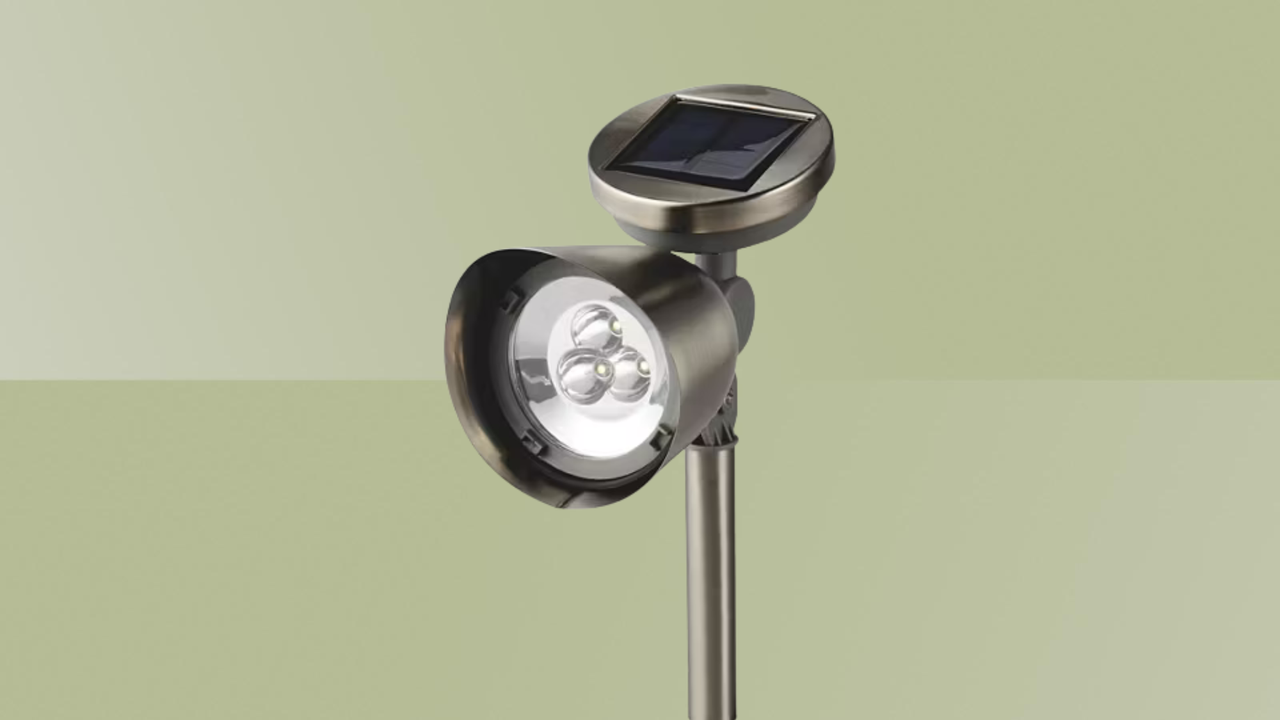 Aldi launches £5.99 solar spotlight that's perfect for lighting up ...