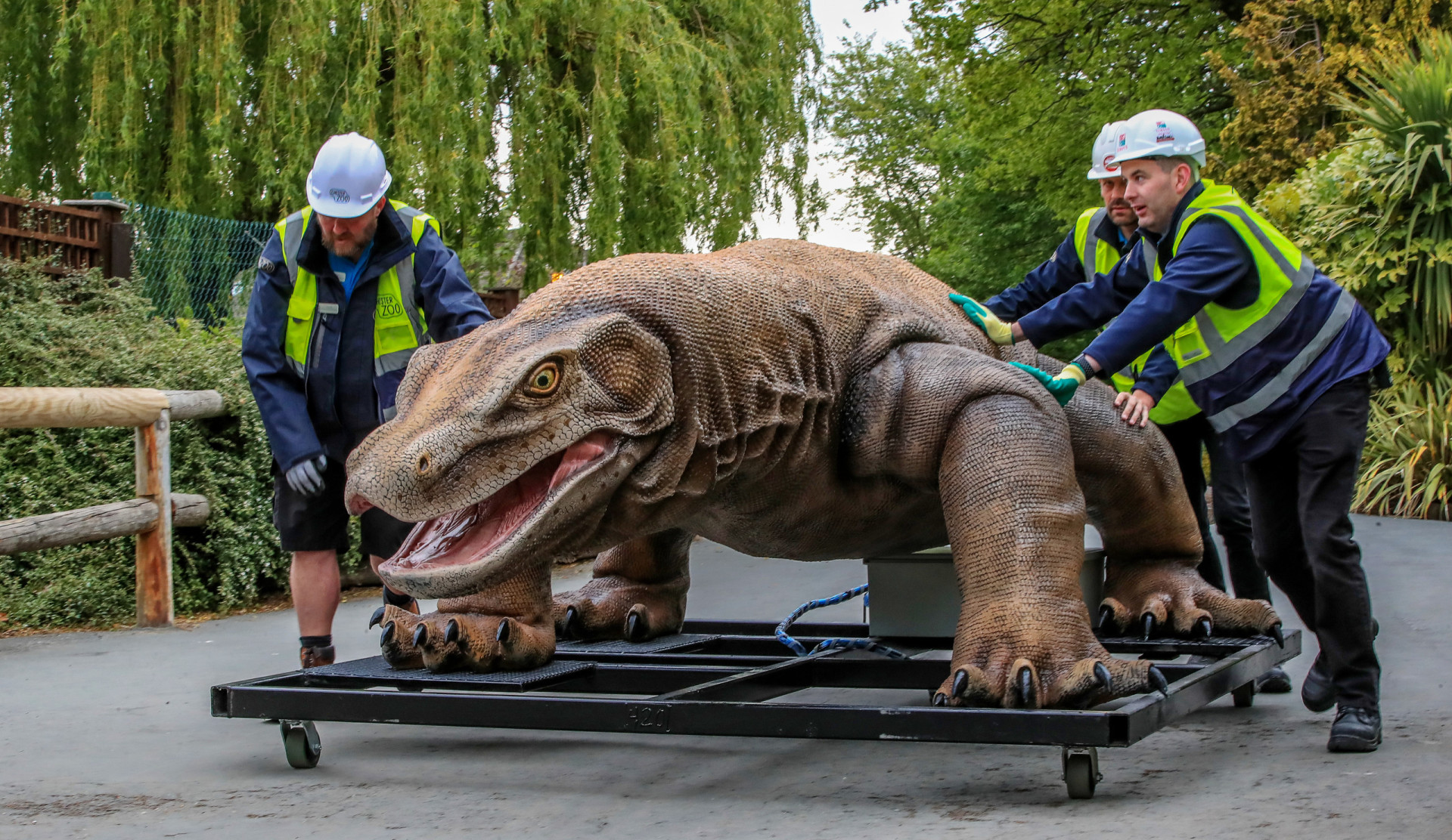 Animals that used to be way bigger than they are now