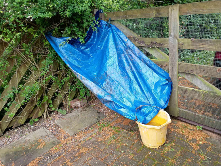 Think before you flush: expert advice on how and when to save water at home