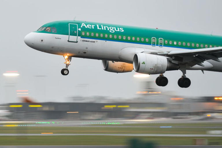 Aer Lingus flight attendant fired over toilet row that brought ...