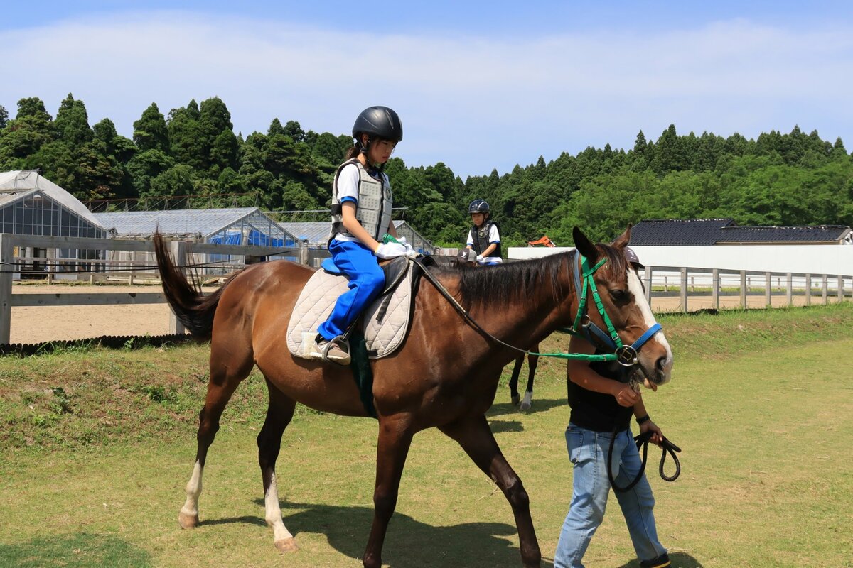 うまく乗れた?珠洲・蛸島小児童が乗馬体験