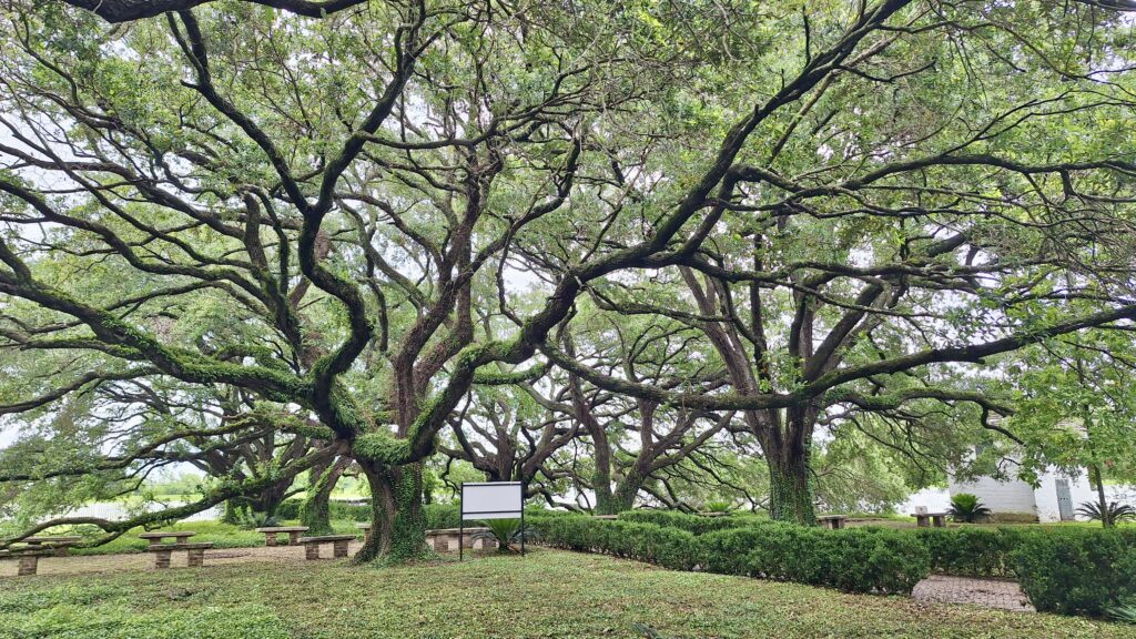 The Whitney Plantation in Louisiana focuses on the history and ...