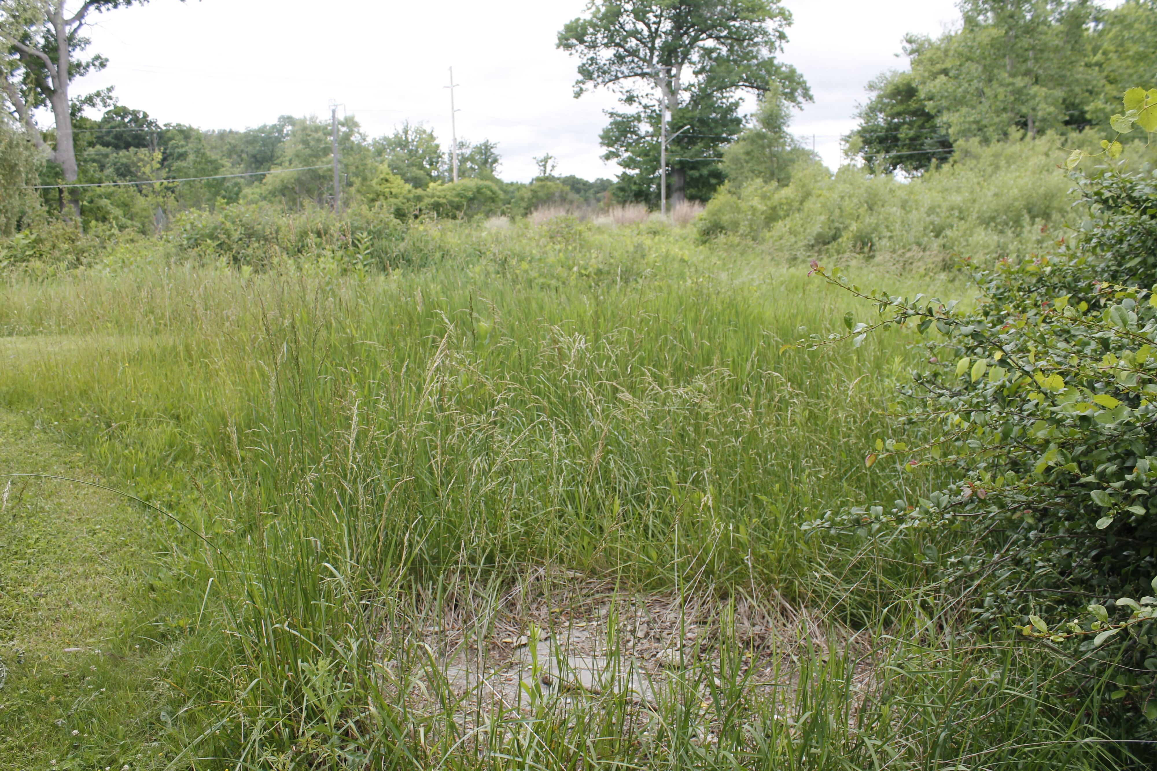 A foreclosure nightmare and $3K FOIA bill: A Michigan couple fights to ...