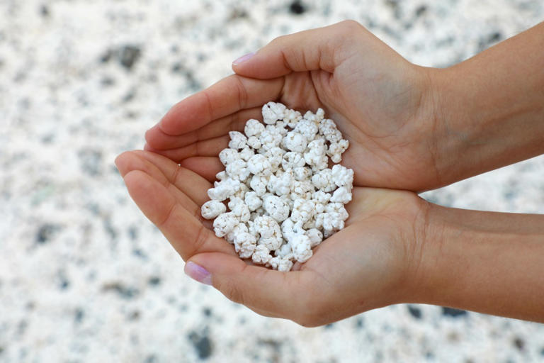 Kanaren: Täuschend echt! Was sich hinter dem „Popcorn-Strand“ verbirgt