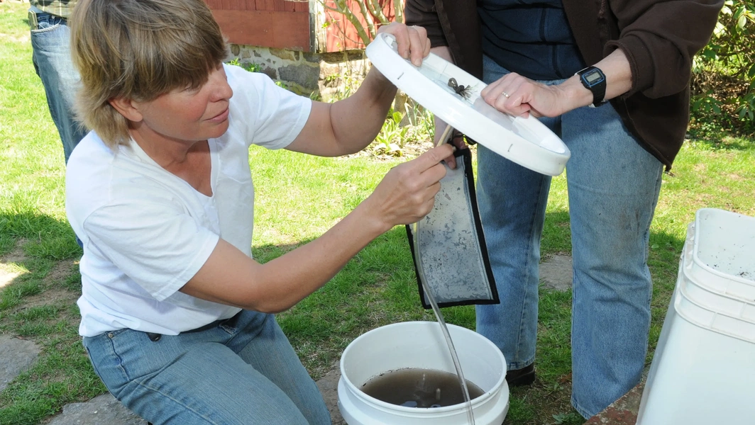 11 natural fertilizers to enrich raised beds
